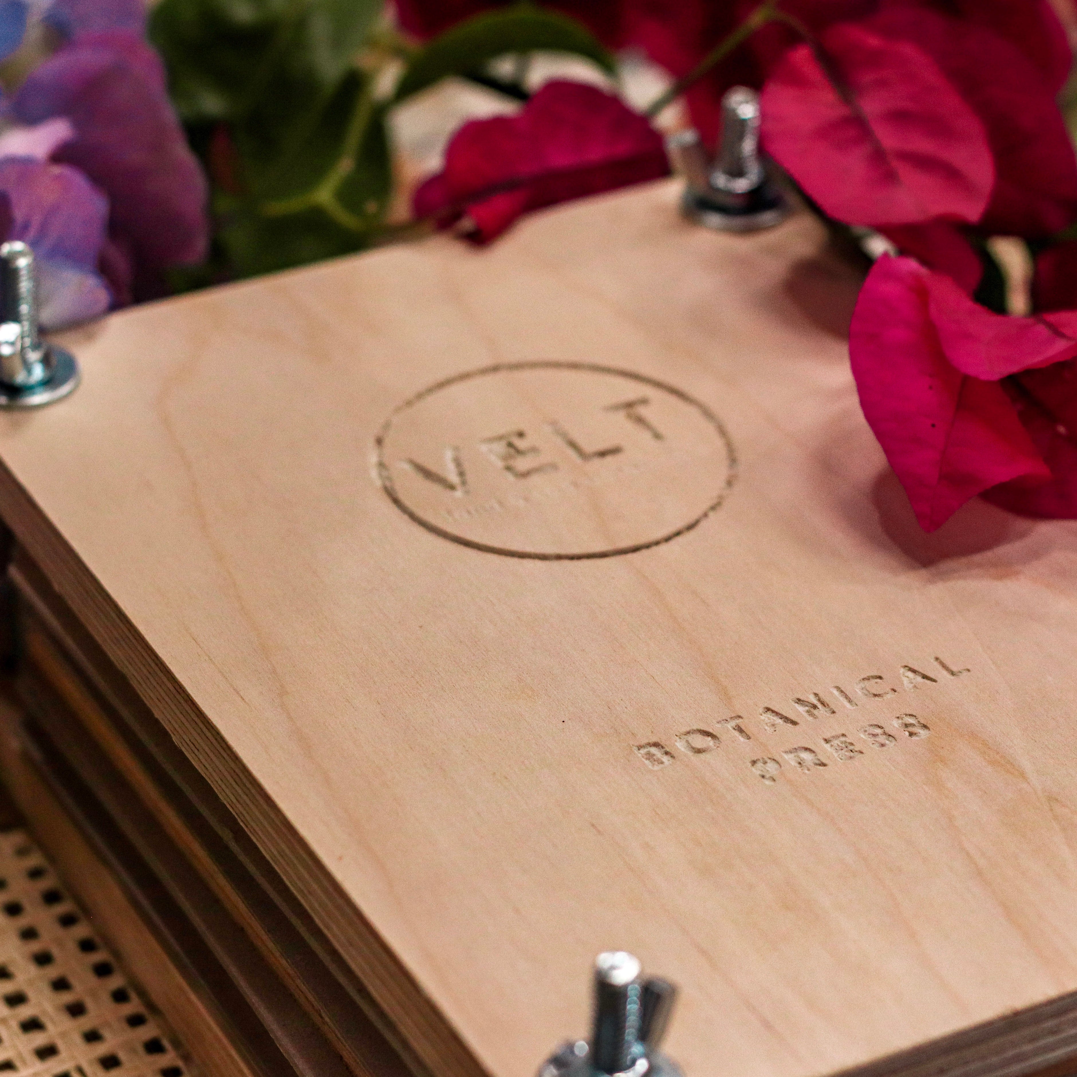 Press and Preserve Plants and Flowers – VELT Designs