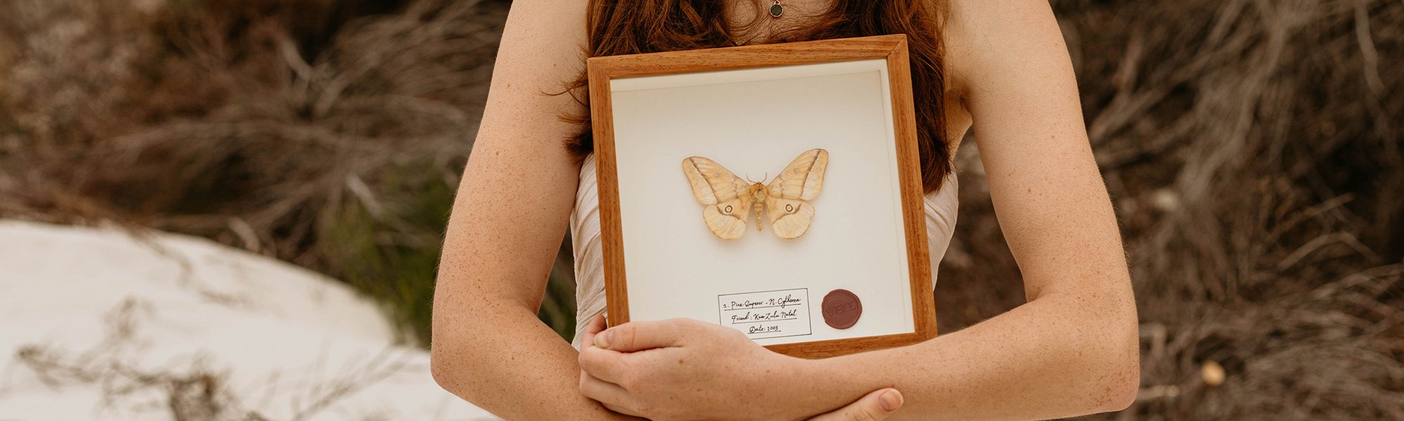 Butterfly Frames – VELT Designs
