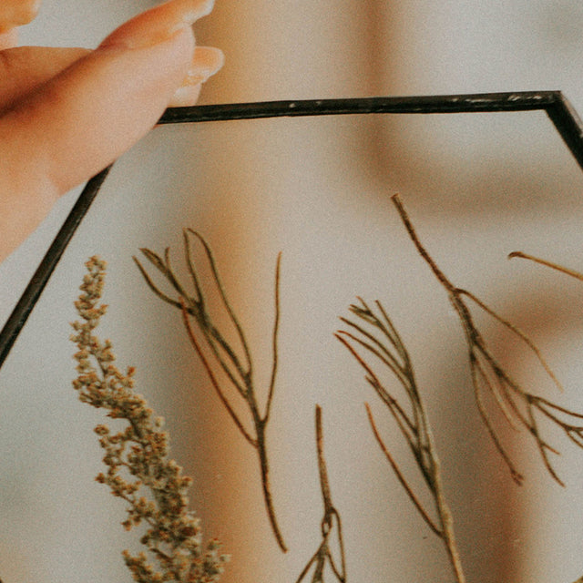 Collections – VELT Designs