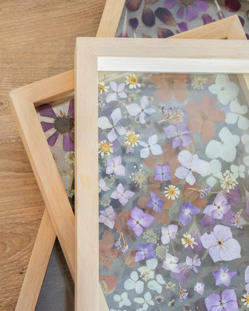 DIY Botanical Frames Kits – VELT Designs
