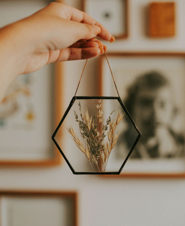 VELT Designs – VELT Designs