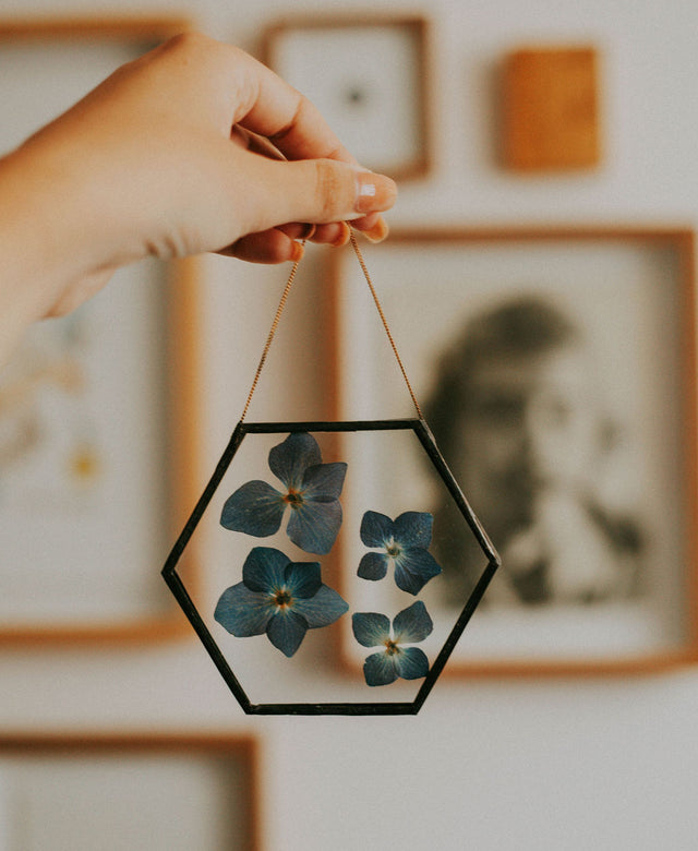 VELT Designs – VELT Designs