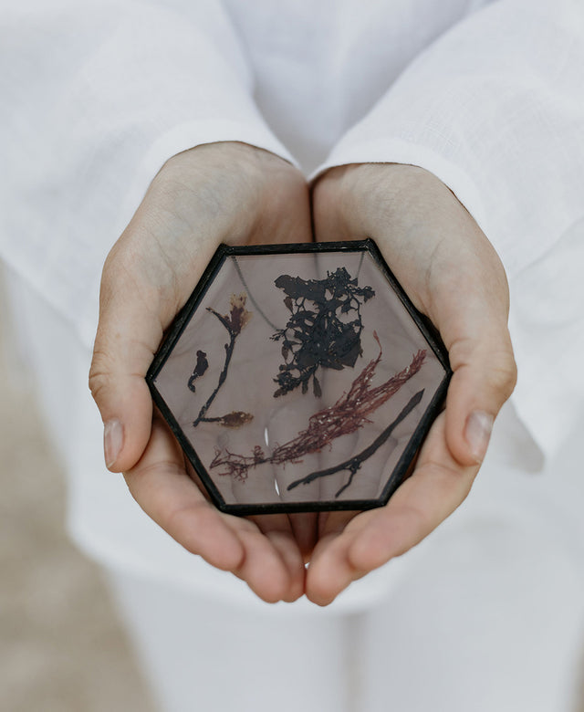 VELT Designs – VELT Designs