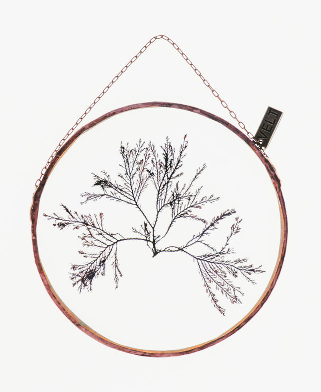 VELT Designs – VELT Designs