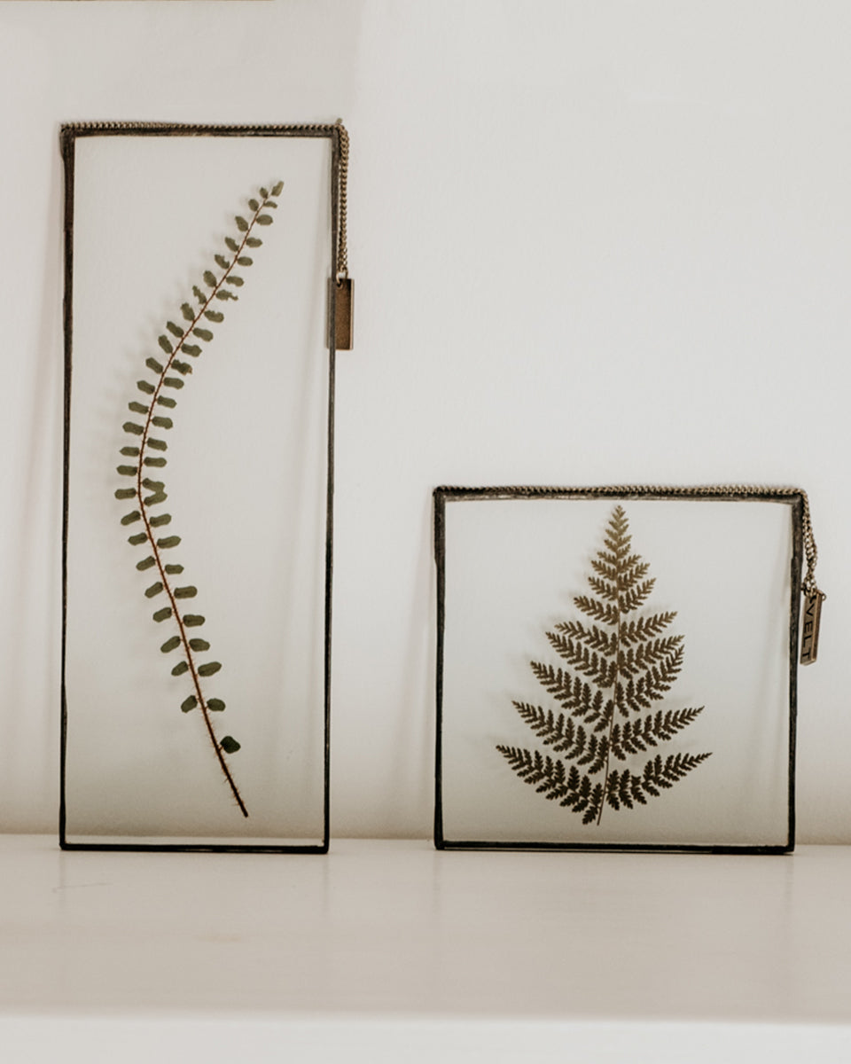 Life with Ferns | Small Square – VELT Designs